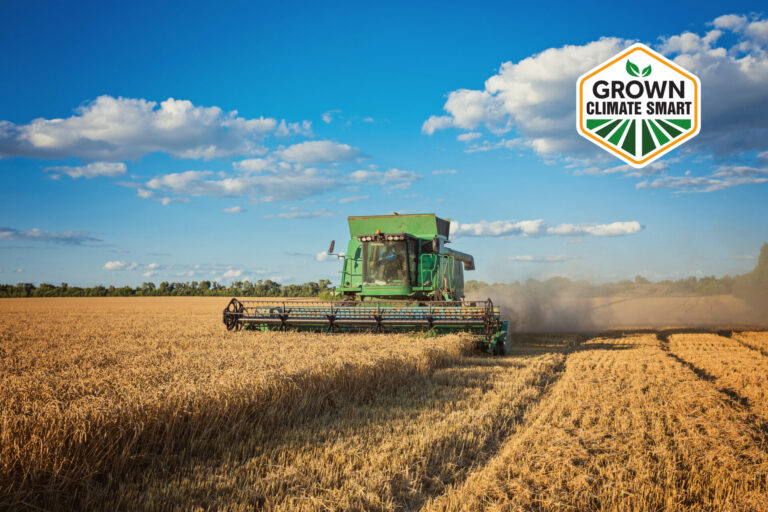 Company History - The DeLong Co., Inc.