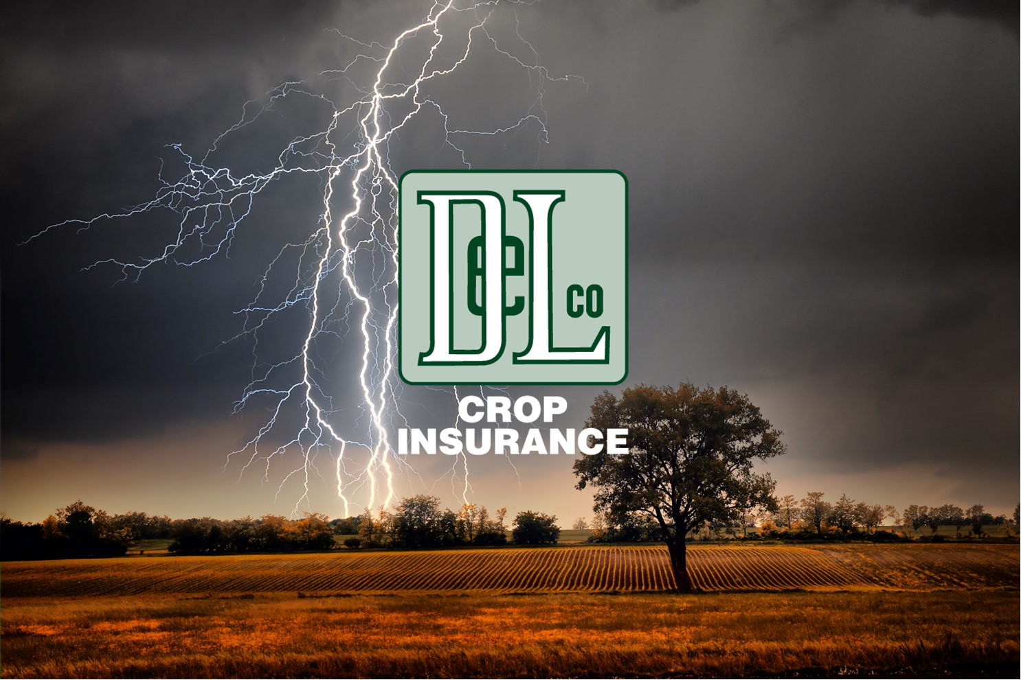 DeLco Crop Insurance Announces Partnership with Silver Spur Insurance ...