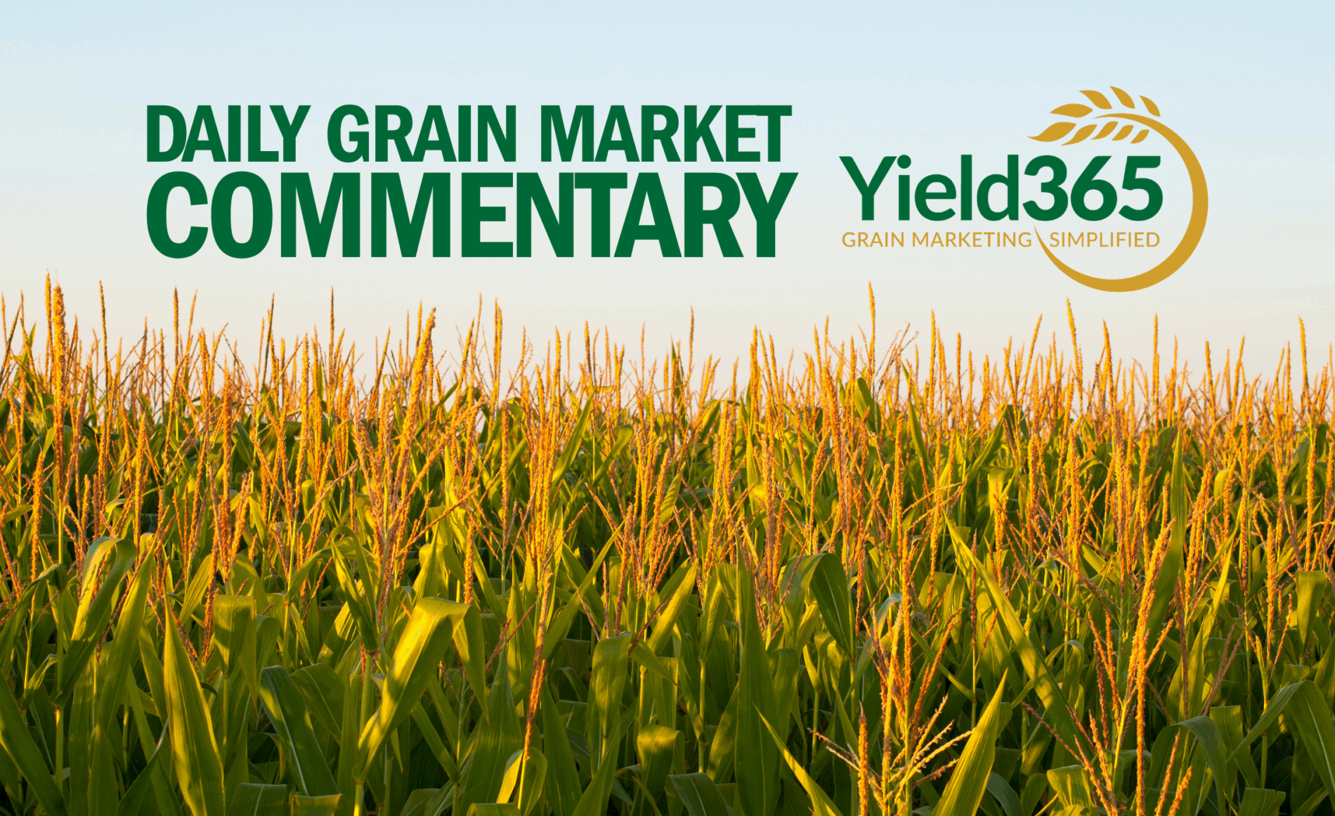 Grain Market Commentary 11.17.25 - The DeLong Co., Inc.